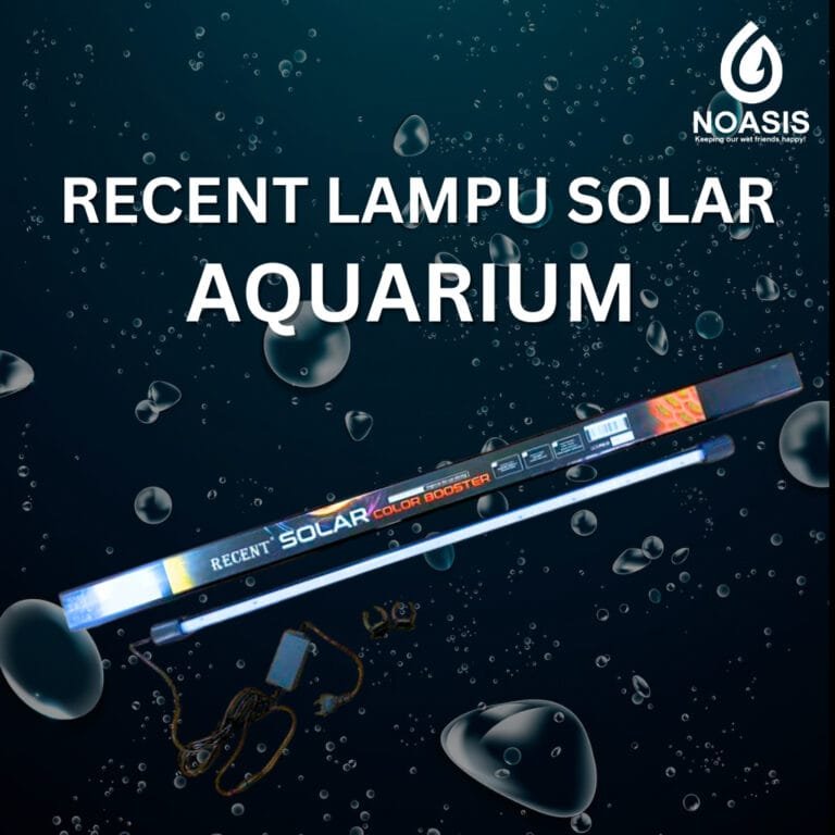 Toko Perlengkapan Akuarium Terlengkap di Indonesia - Noasis Aquarium