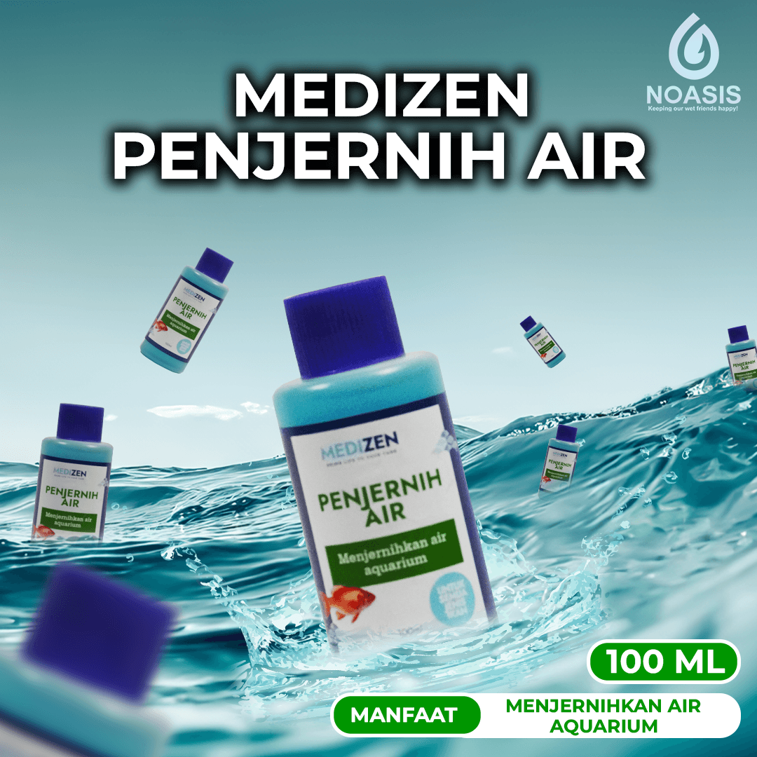 Toko Perlengkapan Akuarium Terlengkap di Indonesia - Noasis Aquarium